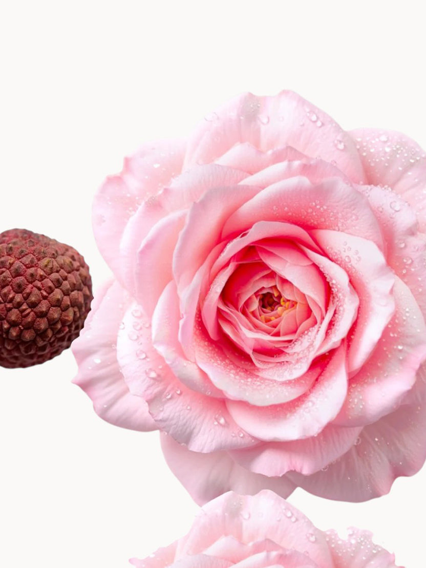 Delina Hair Mist-Lightweight hairspray mist for on the go – Das Parfum ...